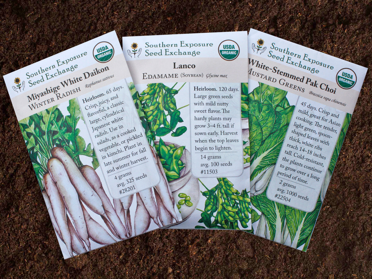 Asian Vegetable Garden Organic Seeds Variety Pack - Edamame, Daikon Ra ...